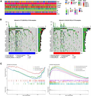 Pathology & Oncology Research | Comprehensive Molecular Analyses of an ...